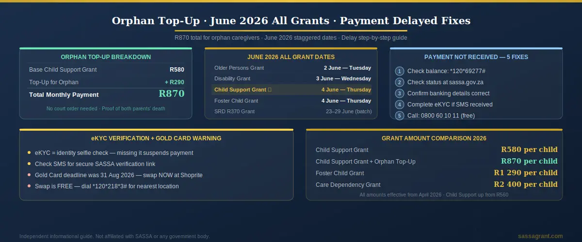 SASSA Child Support Grant Payment Date 2026: Full Schedule and Latest ...